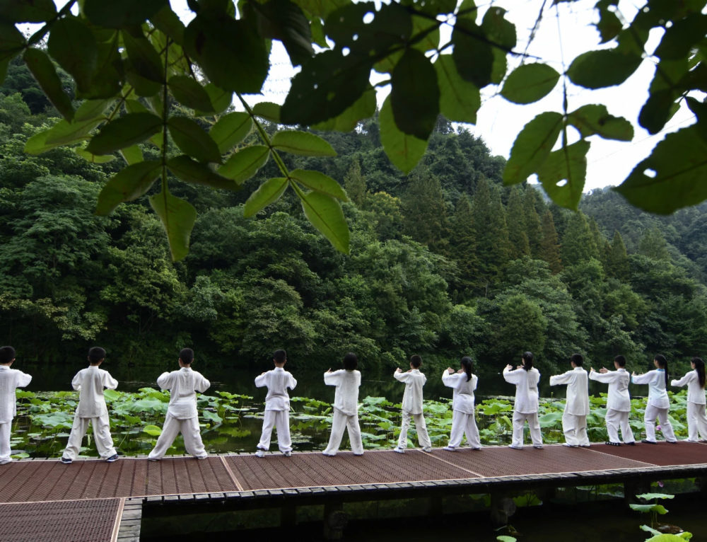 Tai ji quan 24 : seconde partie - Wudang Shaolin Dream